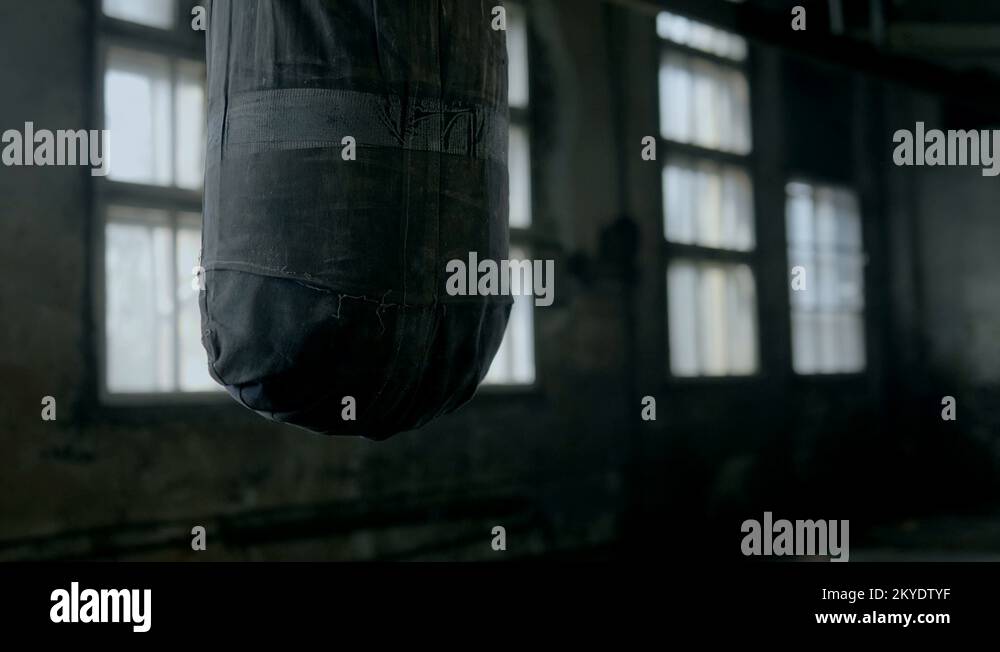 Vintage boxing club Stock Videos & Footage - HD and 4K Video Clips - Alamy