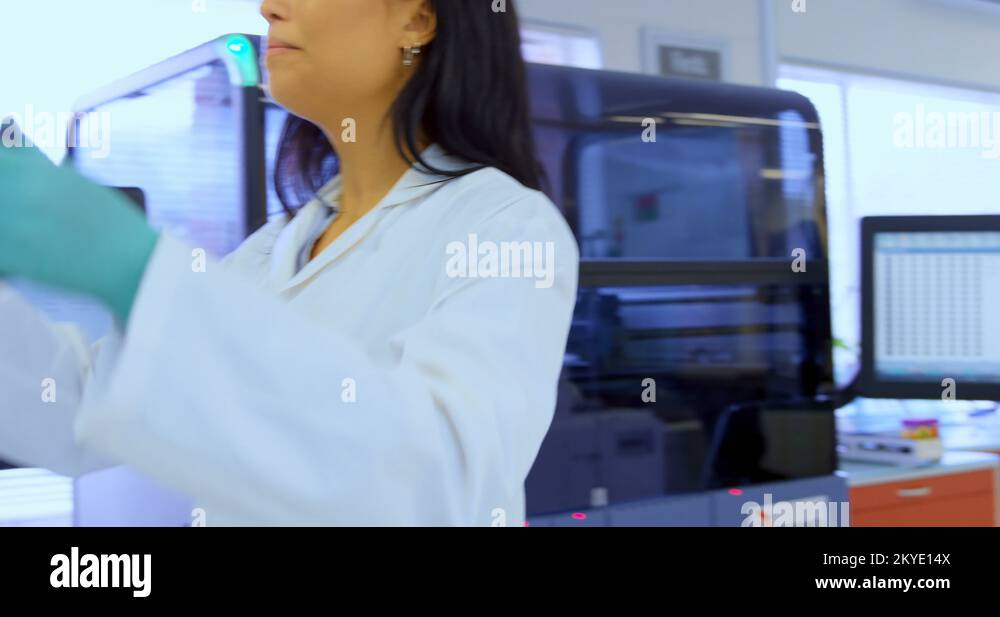 Female scientist examining in laboratory Stock Videos & Footage - HD ...