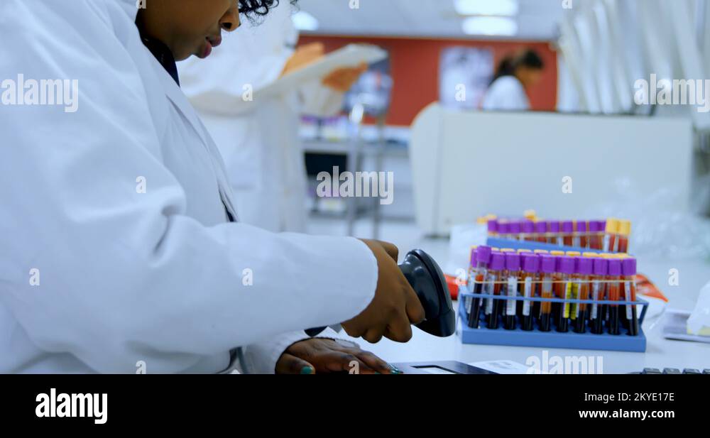 Laboratory technician scanning invoices with barcode scanner 4k Stock ...