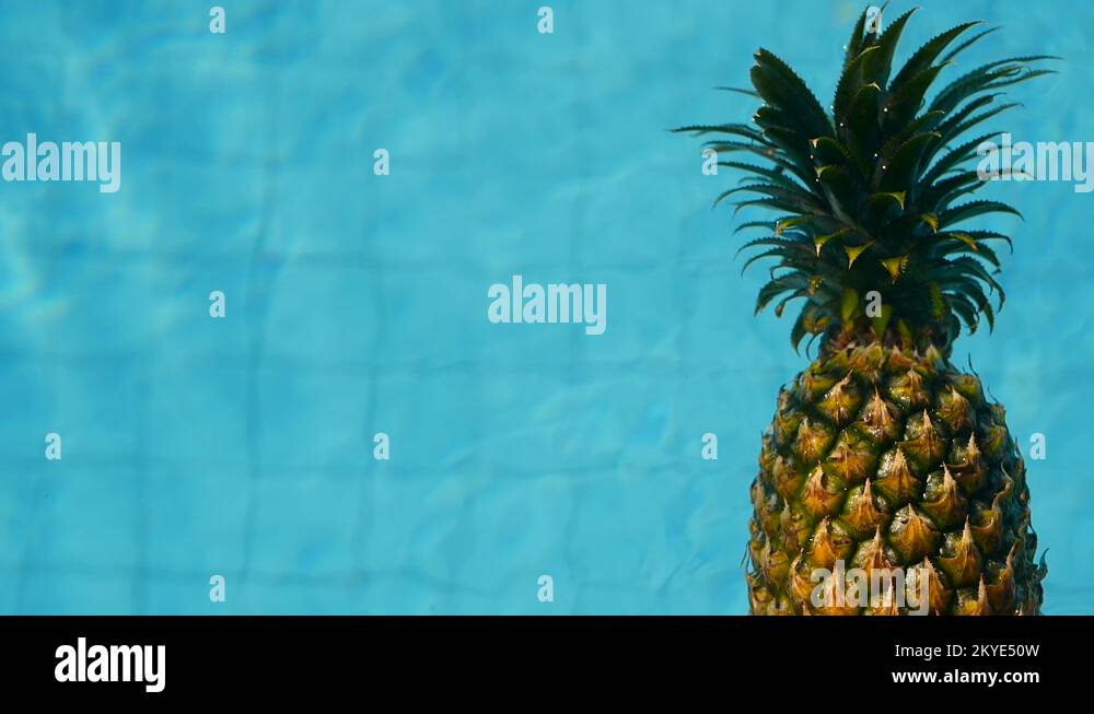 Pineapple Floating In blue Water In Swimming Pool. Healthy Raw Organic ...