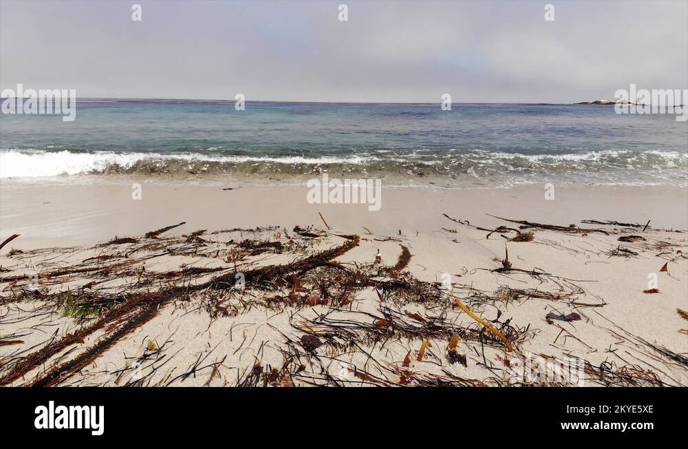 Pacific ocean drive Stock Videos & Footage - HD and 4K Video Clips - Alamy