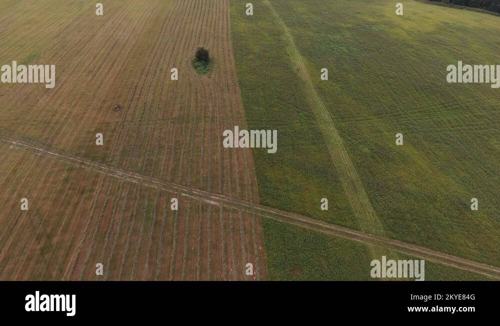 Divided areas Stock Videos & Footage - HD and 4K Video Clips - Alamy