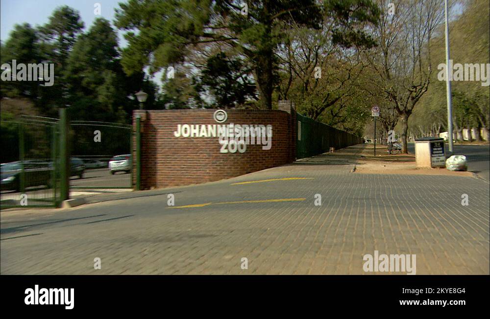 Zoo roads Stock Videos & Footage - HD and 4K Video Clips - Alamy