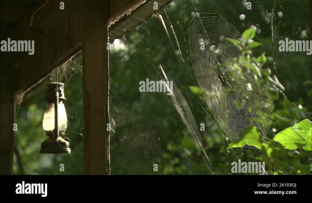 Spiders web and old fashioned oil lantern hanging from window frame ...