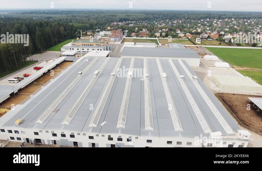 Slate roofs of modern large fenced animal farm with paddocks for cows ...
