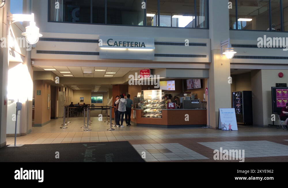 Student cafeteria food Stock Videos & Footage - HD and 4K Video Clips ...