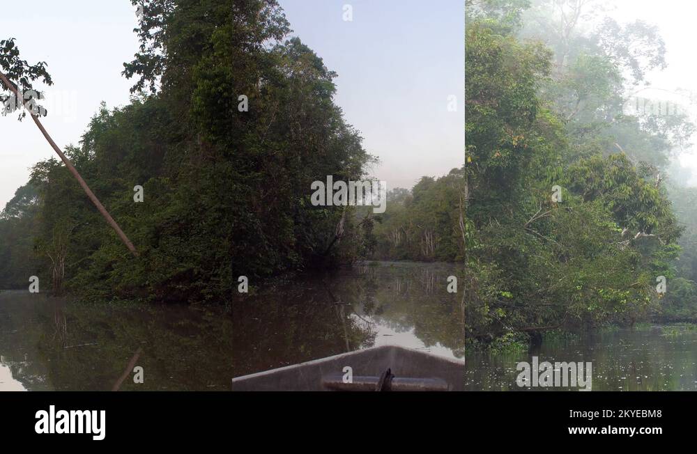 Riding devices Stock Videos & Footage - HD and 4K Video Clips - Alamy