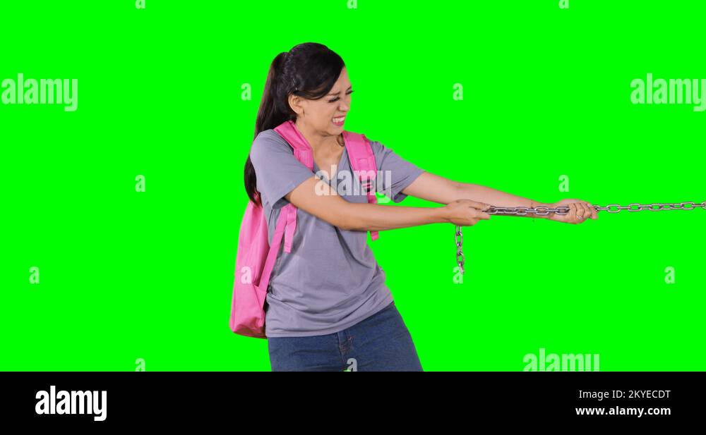 Pulling the chain Stock Videos & Footage - HD and 4K Video Clips - Alamy