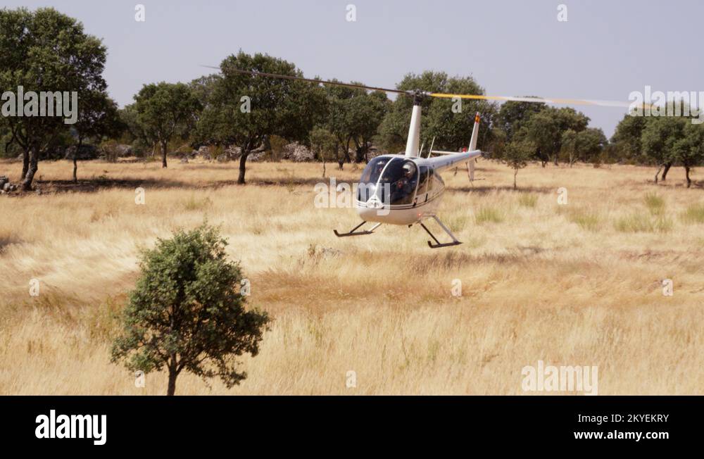 Air tree Stock Videos & Footage - HD and 4K Video Clips - Alamy