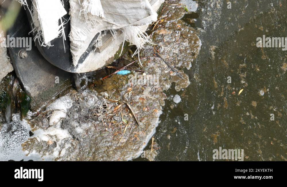 Sewage discharge in river Stock Videos & Footage - HD and 4K Video ...