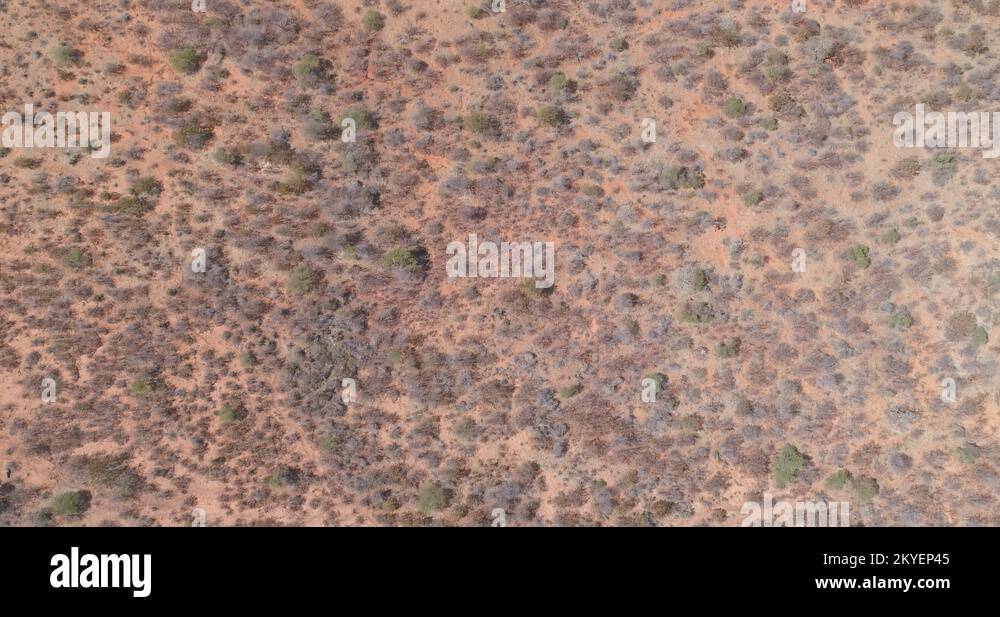 Arid scrub Stock Videos & Footage - HD and 4K Video Clips - Alamy