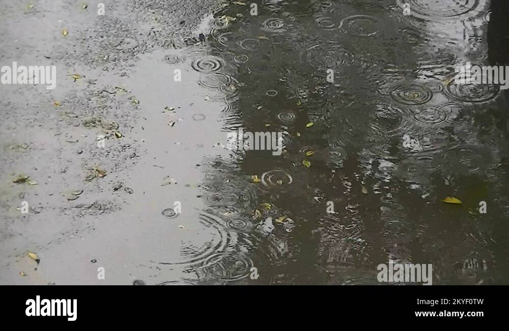 Autumn raindrops Stock Videos & Footage - HD and 4K Video Clips - Alamy
