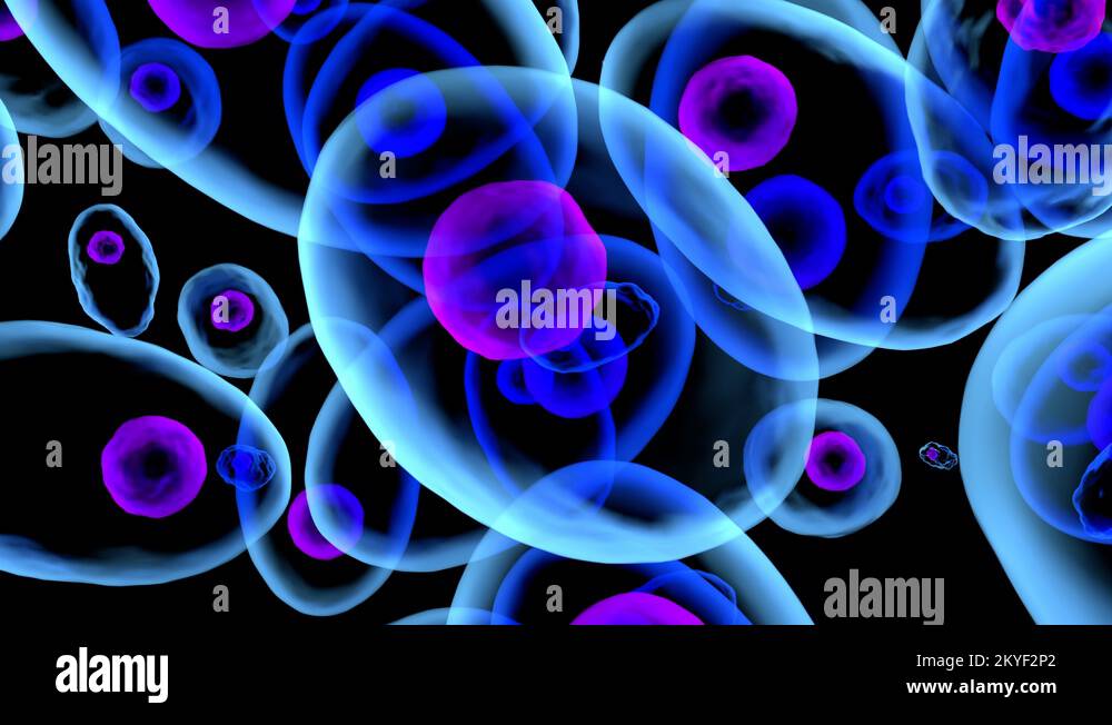 Living cells Stock Videos & Footage - HD and 4K Video Clips - Alamy