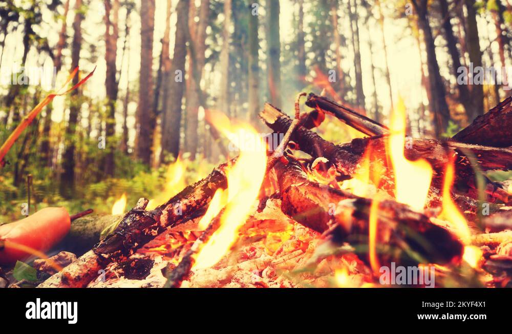 Early humans fire Stock Videos & Footage - HD and 4K Video Clips - Alamy