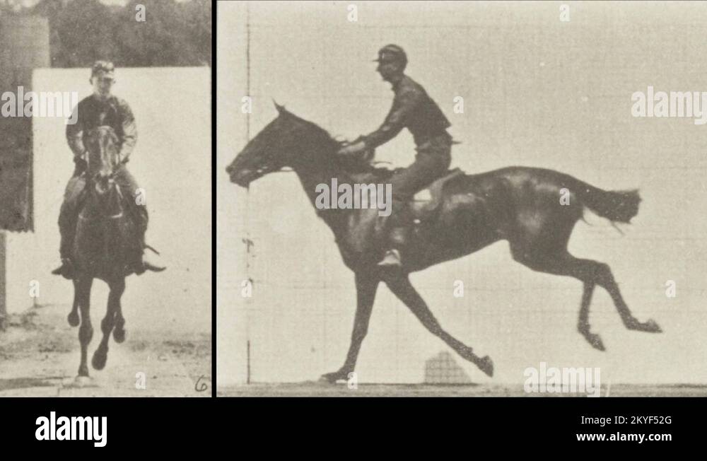 Horse and Rider Front and Side View Stock Video Footage - Alamy