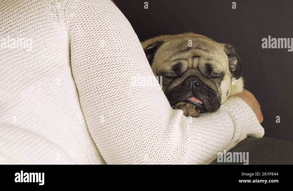 Beloved cuddling Stock Videos & Footage - HD and 4K Video Clips - Alamy