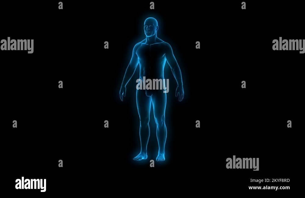 Rotatning Male body scan on black background. Seamless loop Stock Video ...
