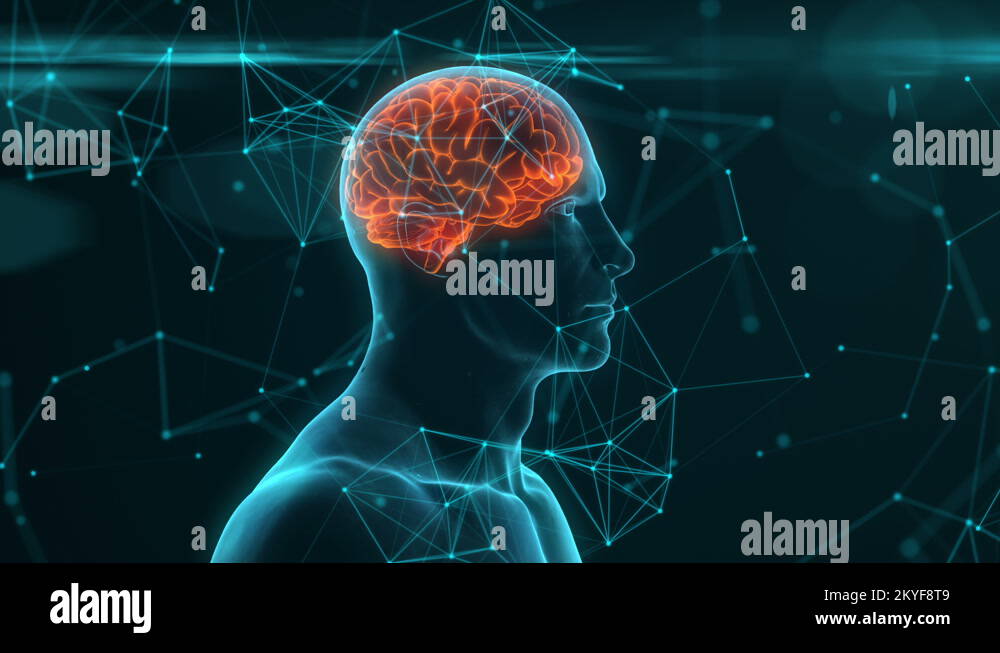 Neuronal Activity. 3d animation of rotating blue conceptual human brain ...