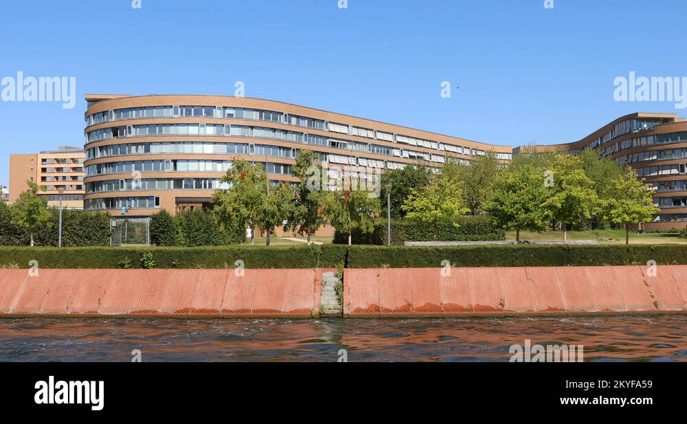 Snake and staff Stock Videos & Footage - HD and 4K Video Clips - Alamy