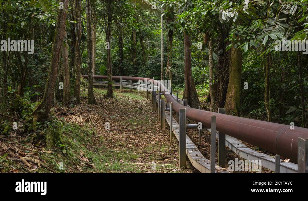 Rainforest amazon petroleum oil Stock Videos & Footage - HD and 4K ...