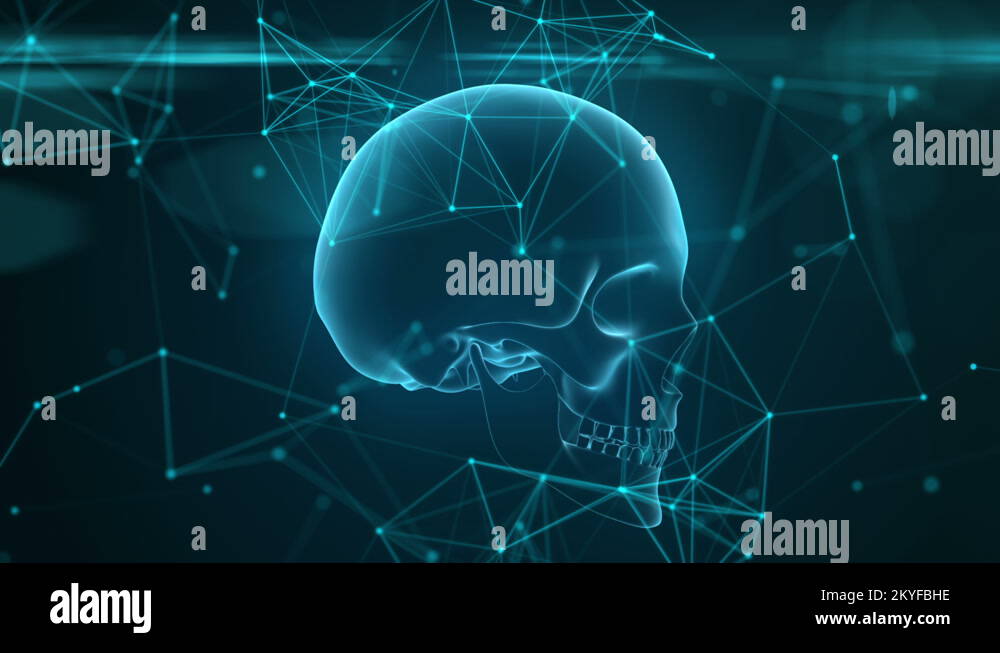 Skull scan. 3D animation of rotating human skull in endless loop ...