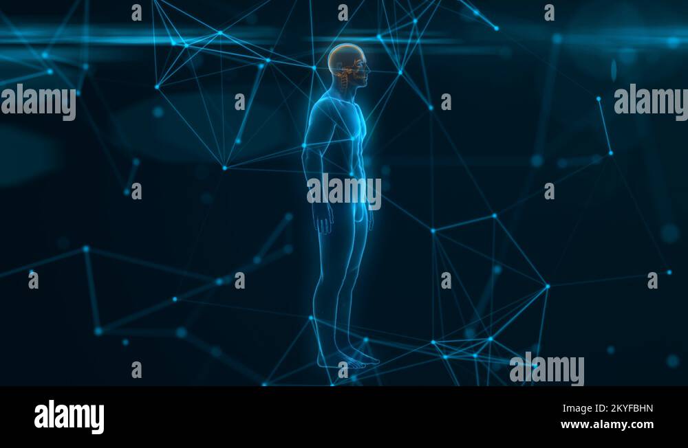 Rotating Male body scan with musculoskeletal system. Connected dots ...