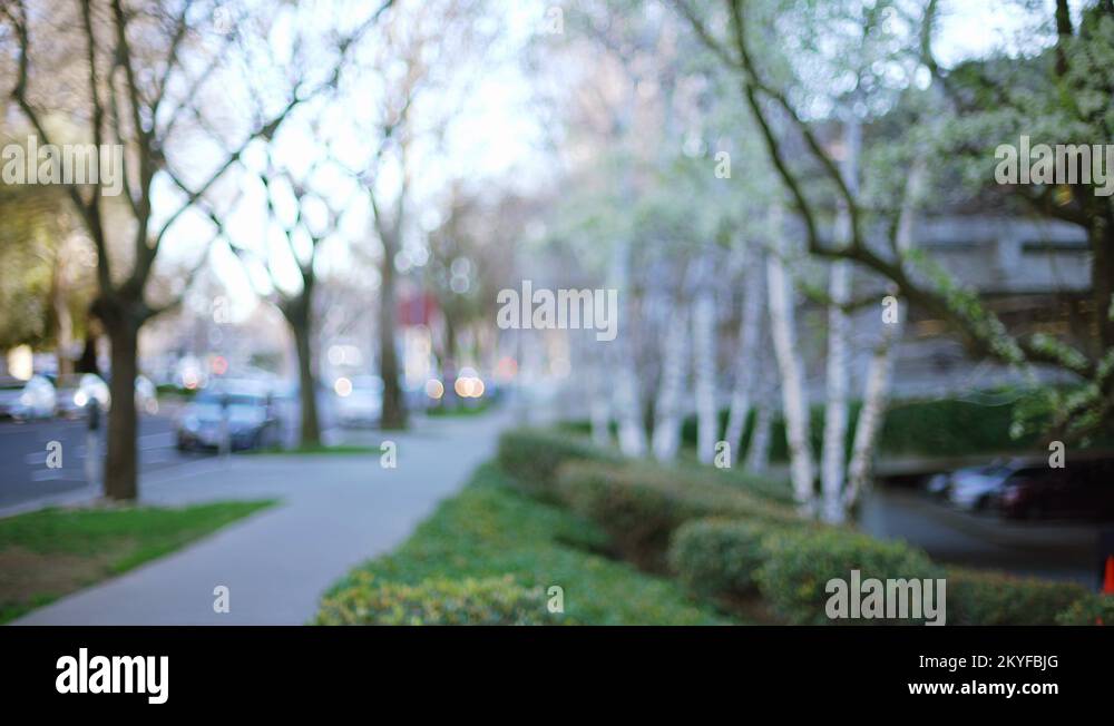Exterior scene of people walking on typical sidewalk lined with trees ...