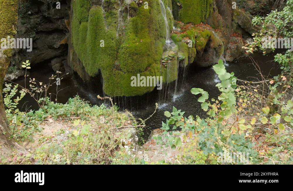 Beautiful unique Stock Videos & Footage - HD and 4K Video Clips - Alamy