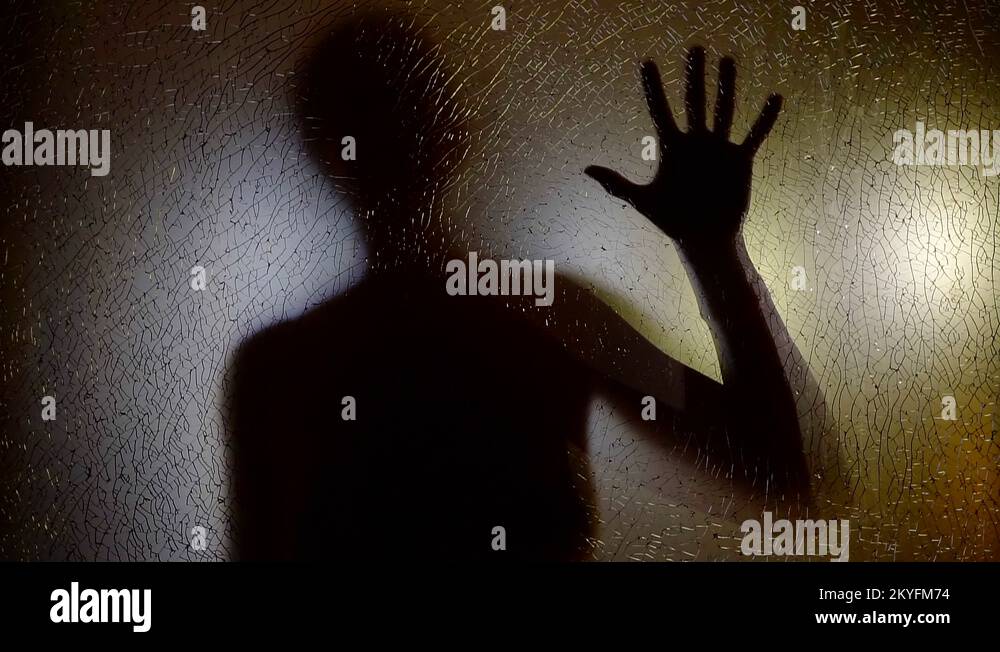 Back shadow of a figure Stock Videos & Footage - HD and 4K Video Clips ...