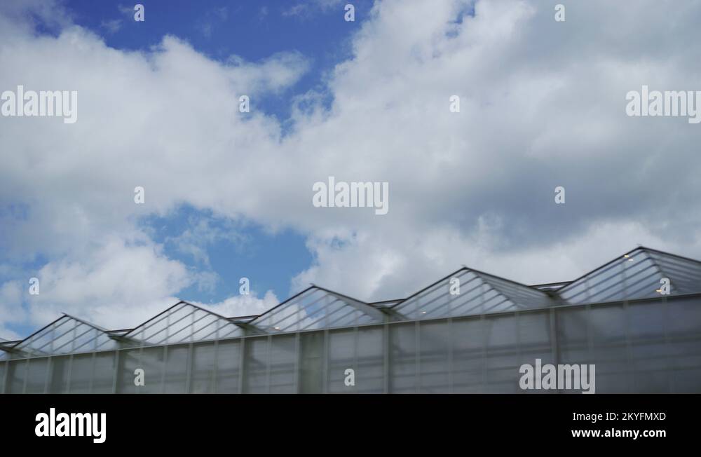 Greenhouse roof Stock Videos & Footage - HD and 4K Video Clips - Alamy