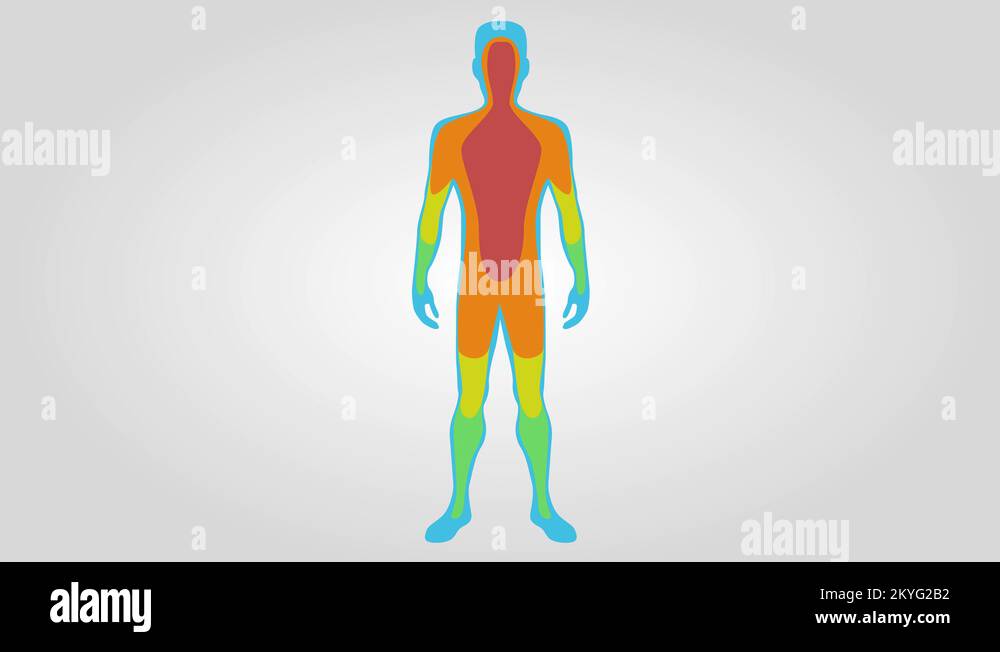 Temperature vector Stock Videos & Footage - HD and 4K Video Clips - Alamy