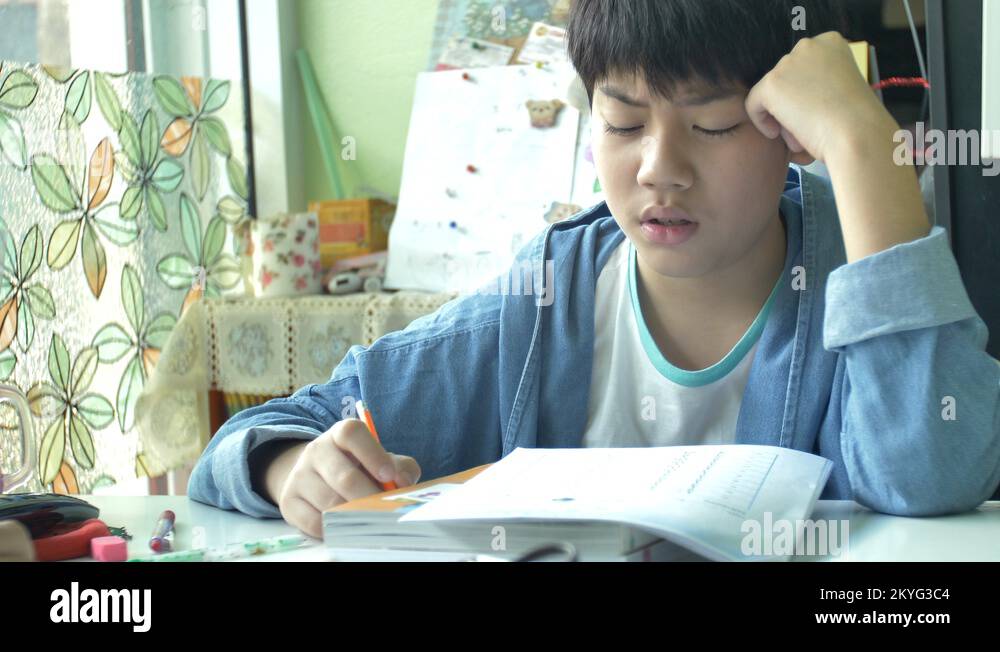 Do Your Homework Asian