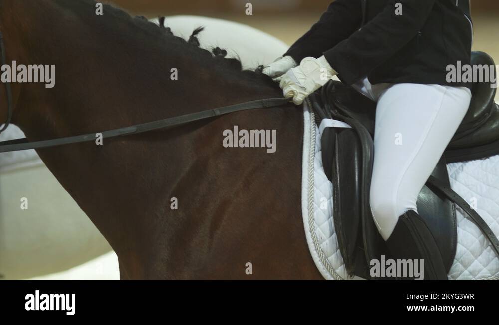 The girl jockey is sitting on a brown riding horse in uniform and white ...