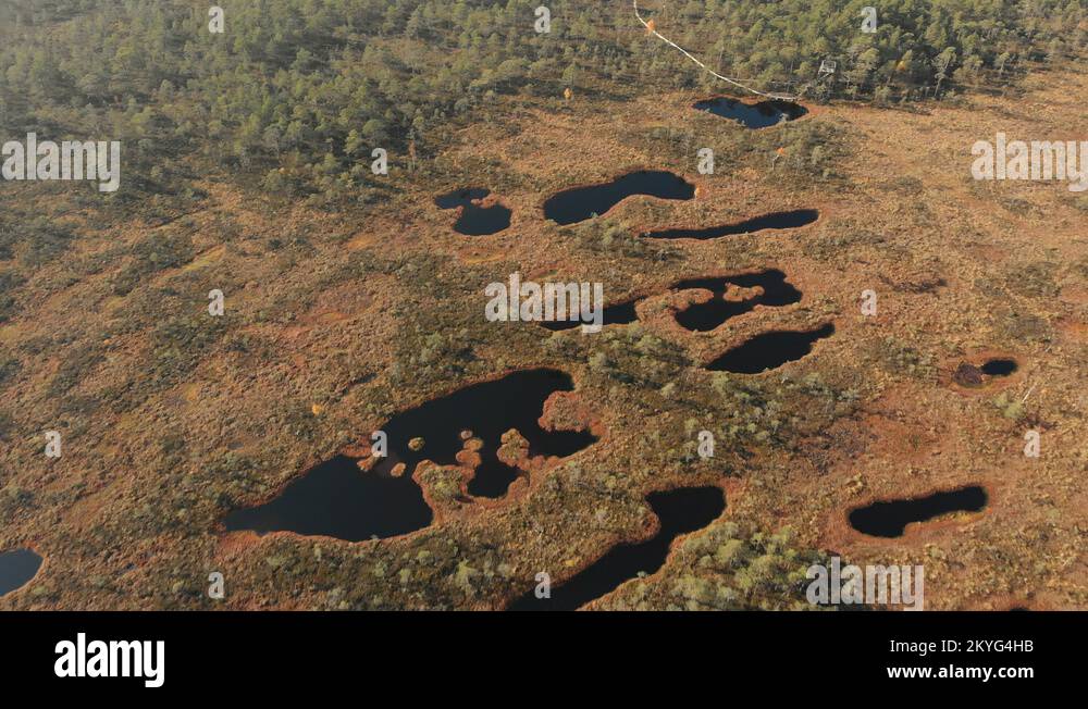 Bog pools Stock Videos & Footage - HD and 4K Video Clips - Alamy