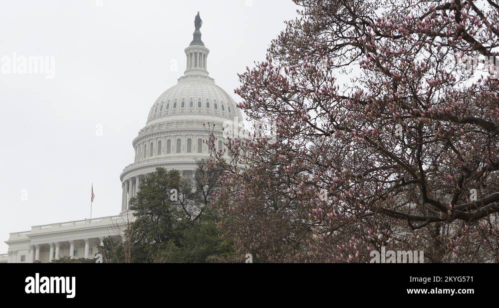 Iconic washington dc symbol Stock Videos & Footage - HD and 4K Video ...