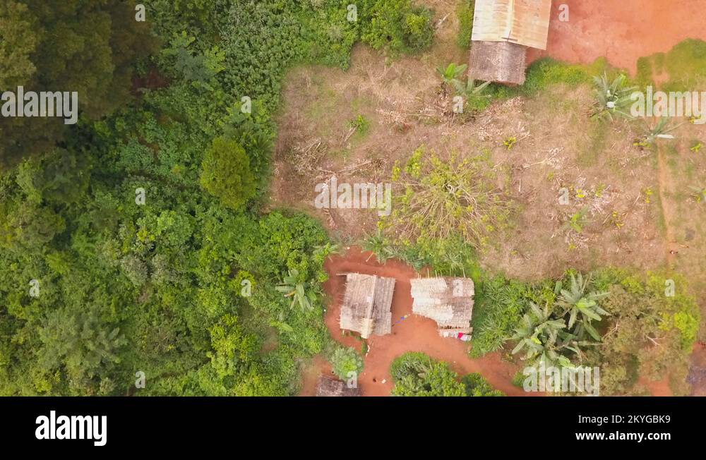 Congo village not rainforest Stock Videos & Footage - HD and 4K Video ...