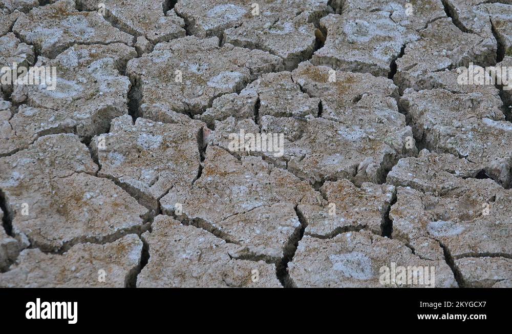 Drought conditions with ground cracking farm field 4K Stock Video ...