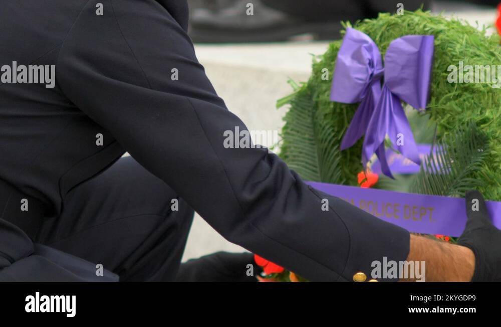 War poppy wreath Stock Videos & Footage - HD and 4K Video Clips - Alamy