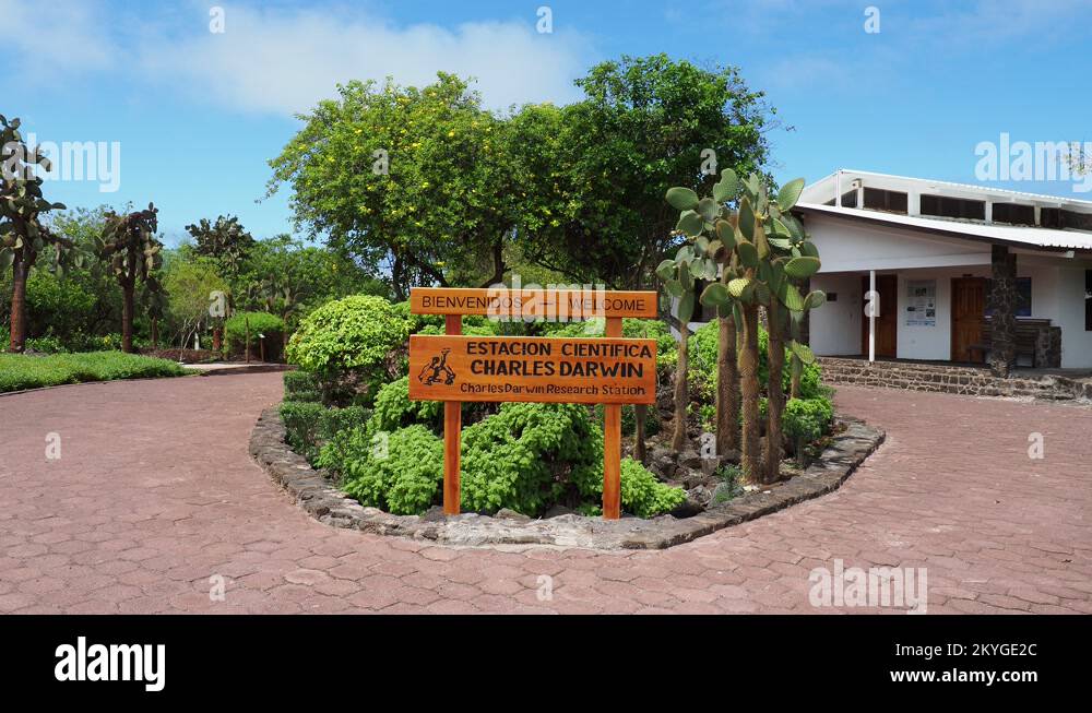 Charles darwin station Stock Videos & Footage - HD and 4K Video Clips ...