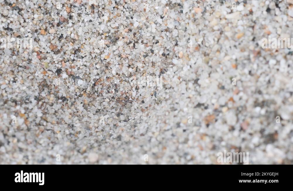 Antlion, ant-lion, ant lion, larva, predator, jaws, sand, killer, prey ...