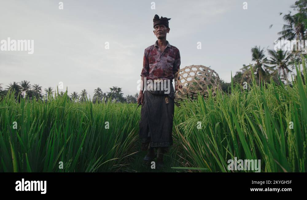 Old indian farmer Stock Videos & Footage - HD and 4K Video Clips - Alamy