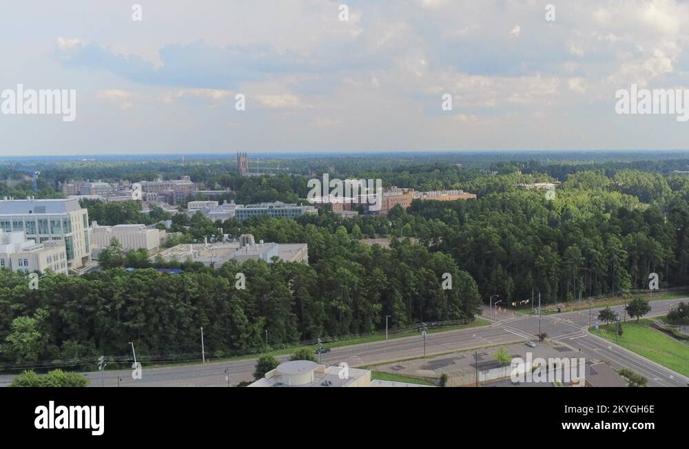 Green duke Stock Videos & Footage - HD and 4K Video Clips - Alamy