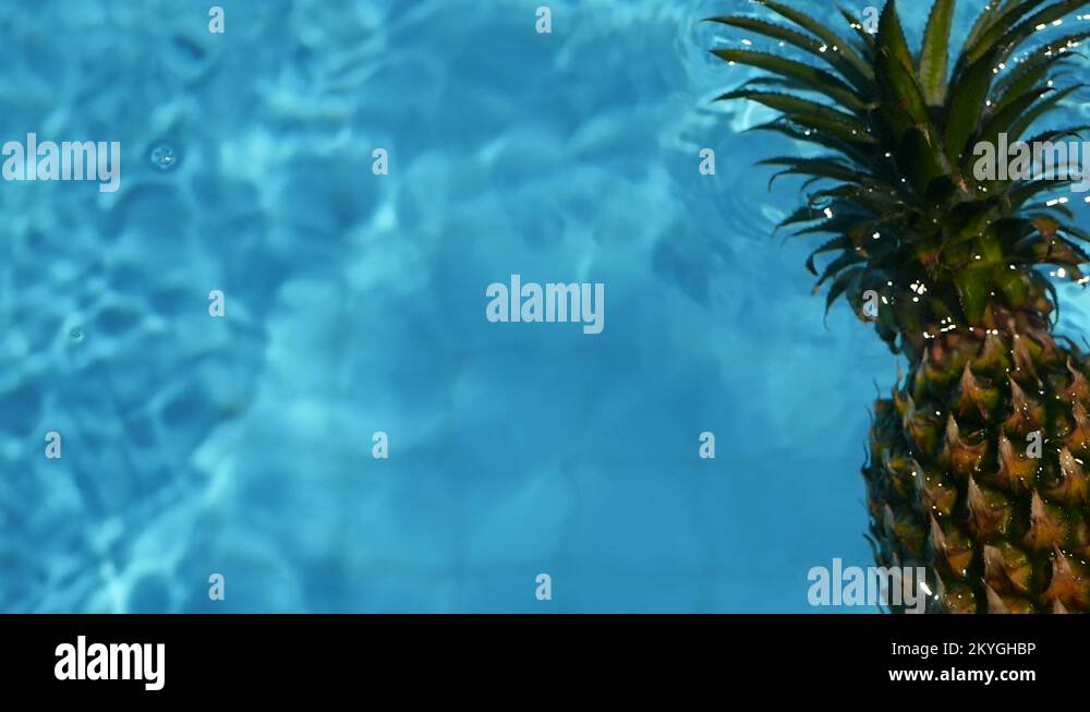 Pineapple Floating In blue Water In Swimming Pool. Healthy Raw Organic ...