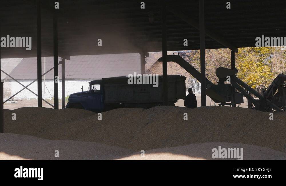 Grain separator Stock Videos & Footage - HD and 4K Video Clips - Alamy