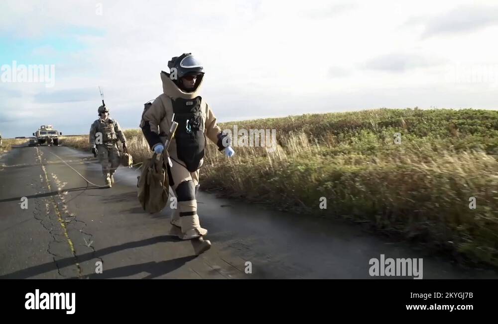 Bomb squad Stock Videos & Footage - HD and 4K Video Clips - Alamy