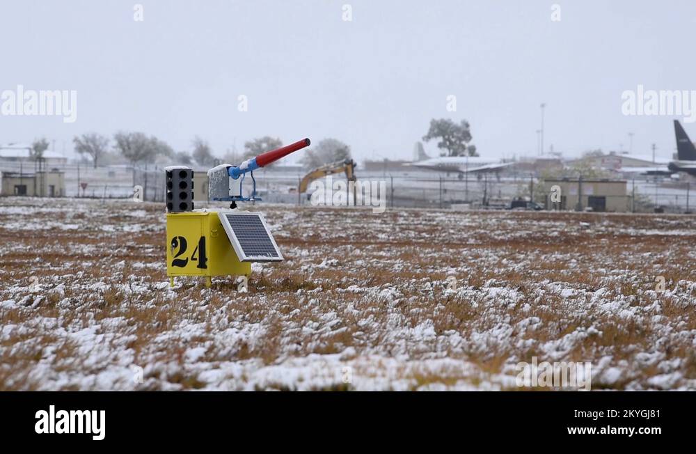 Bird_scarer Stock Videos & Footage - HD and 4K Video Clips - Alamy