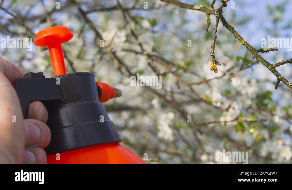 Fruit Tree Pests And Diseases Stock Videos And Footage Hd And 4k Video