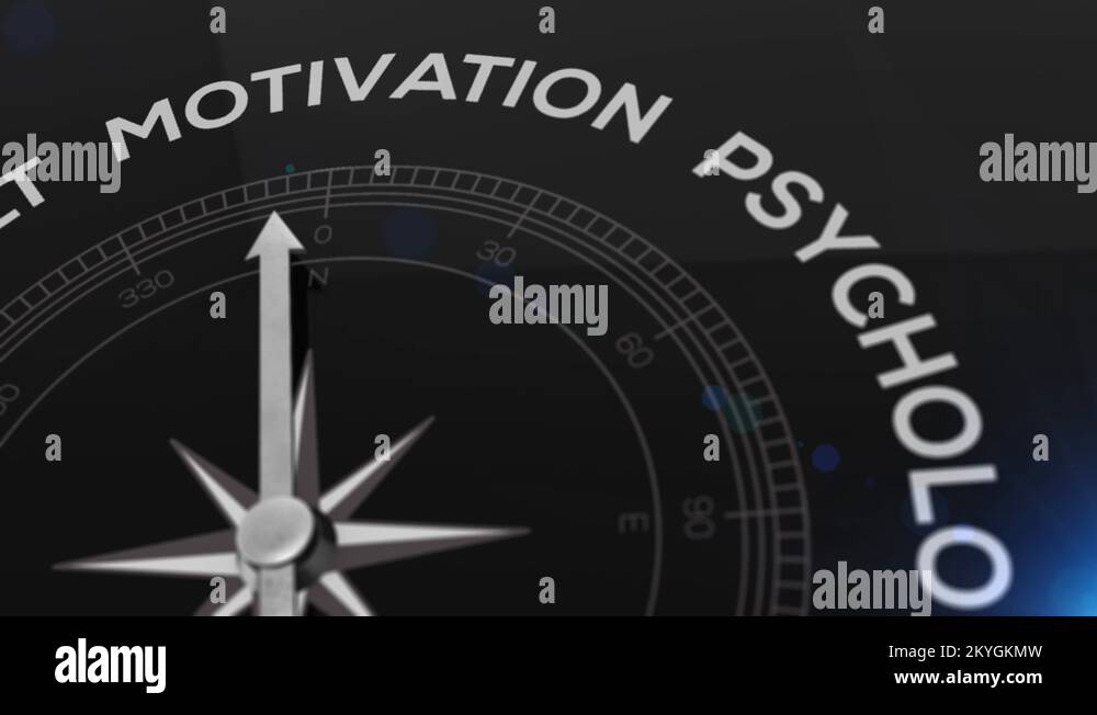 German leadership Stock Videos & Footage - HD and 4K Video Clips - Alamy