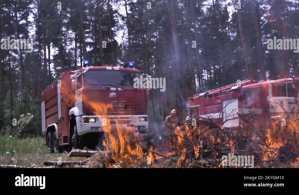 Unsafe tree Stock Videos & Footage - HD and 4K Video Clips - Alamy