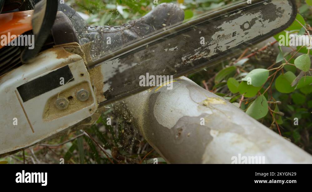 Cutting tree trunk Stock Videos & Footage - HD and 4K Video Clips - Alamy
